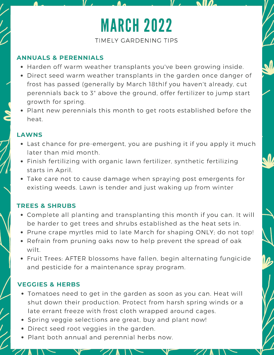 March 2022 Timely Gardening Tips | Rainbow Gardens