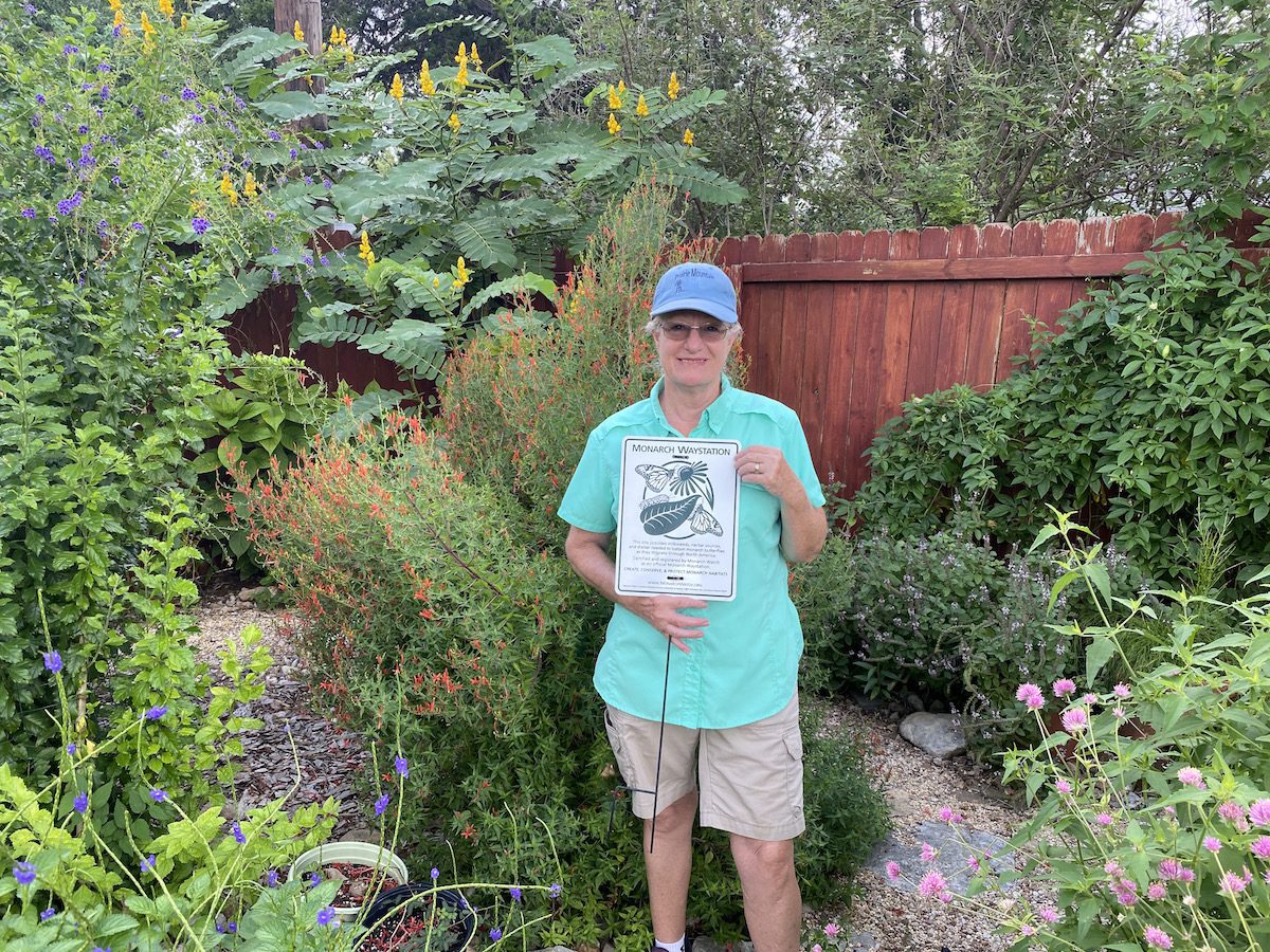 Laura Jarvis shares her knowledge, teaches pollinator gardening