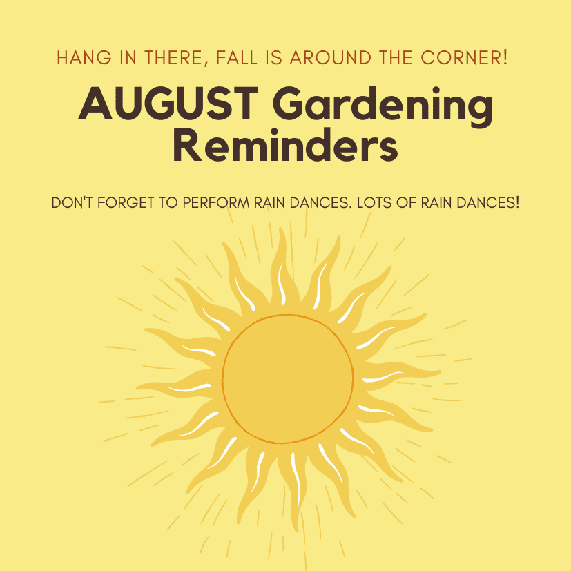 August Monthly Gardening Tips | Rainbow Gardens