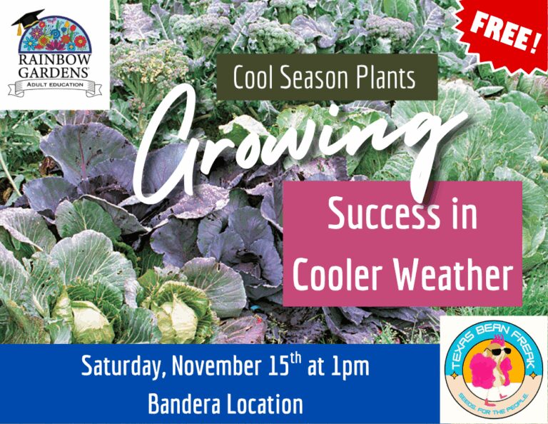 Cool Season Plants: Growing Success in Cooler Weather | Rainbow Gardens
